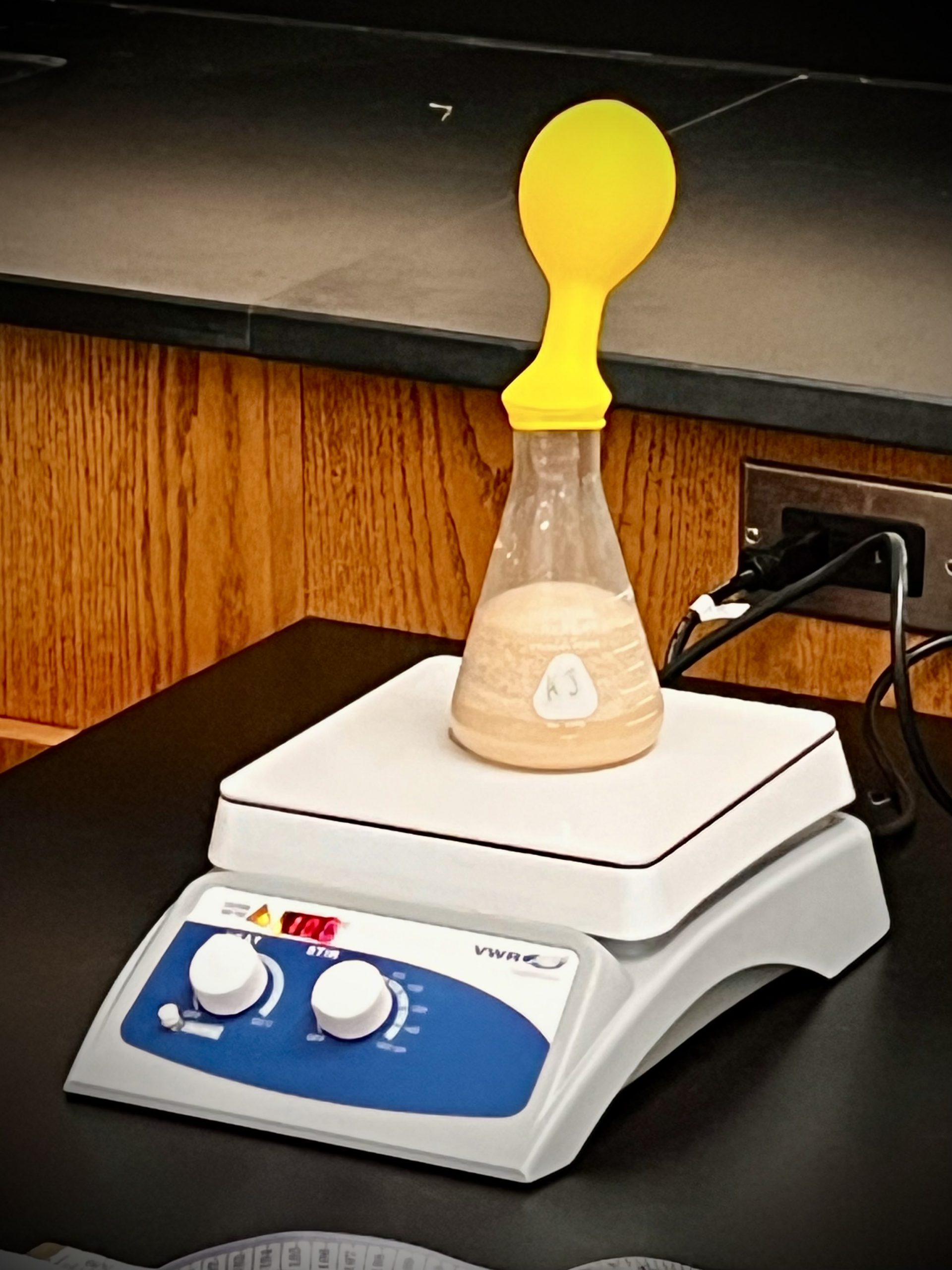 Living Environment Cellular Respiration Lab Green Island Ufsd