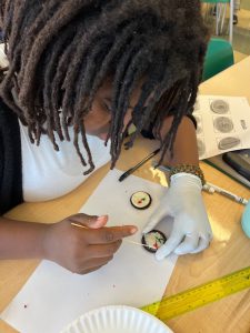 Sweet Science: 7th and 8th Graders Dive into Mitosis with Oreo Cell ...