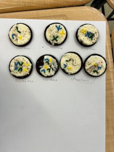 Sweet Science: 7th and 8th Graders Dive into Mitosis with Oreo Cell ...